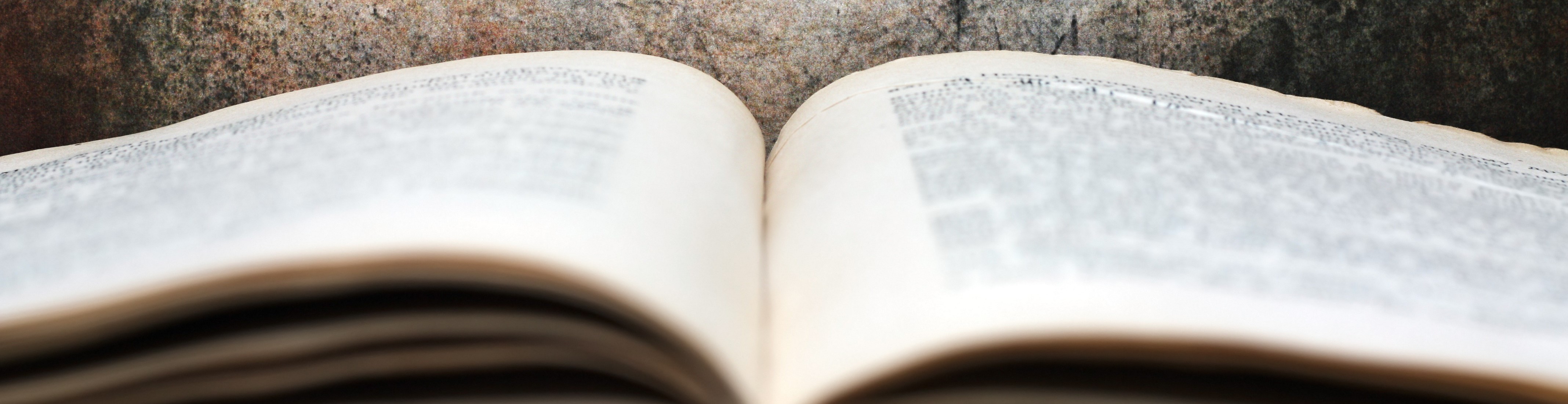 Does Bigger Mean Better? A Brief Look at Megajournals Does Bigger Mean Better? A Brief Look at Megajournals